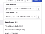 Self Managed Gitlab Crane Cloud
